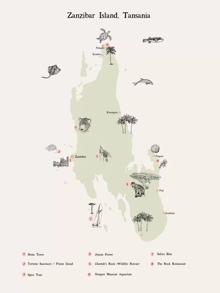 Your complete Zanzibar Travel Guide