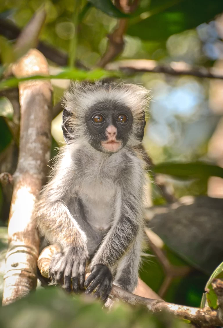 Your complete Zanzibar Travel Guide